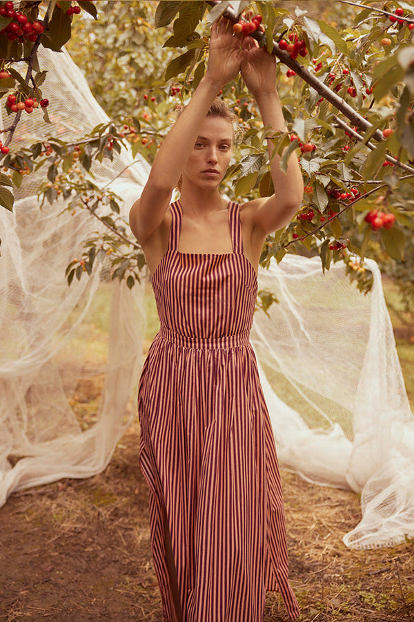 dahlia dress - mimosa stripe - sample – Bird & Knoll